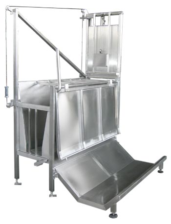 Equipment for slaughter processing of swine: Swine stunning